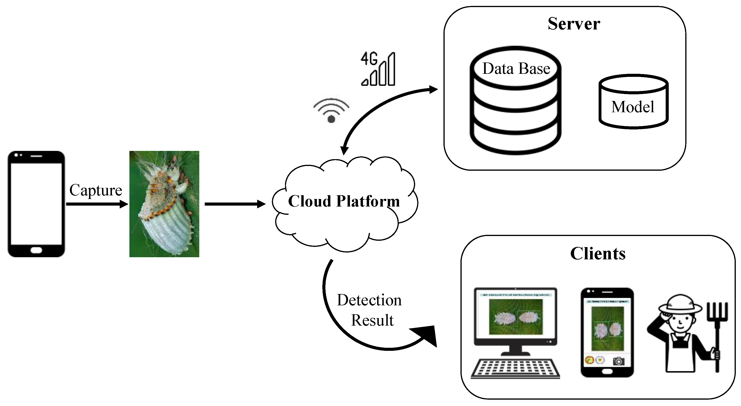 A Smartphone-Based Application for Scale Pest Detection Using Multiple ...