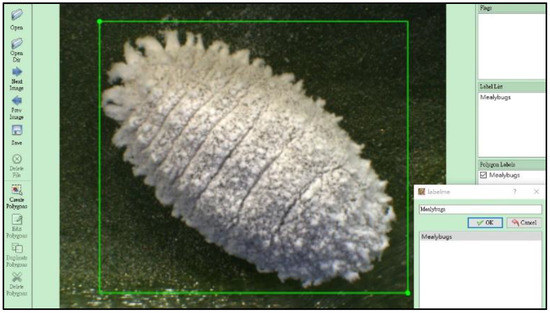 A Smartphone-Based Application for Scale Pest Detection Using Multiple ...