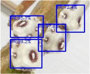 A Smartphone-Based Application for Scale Pest Detection Using Multiple-Object Detection Methods