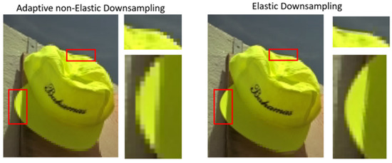Elastic Downsampling: An Adaptive Downsampling Technique to Preserve ...