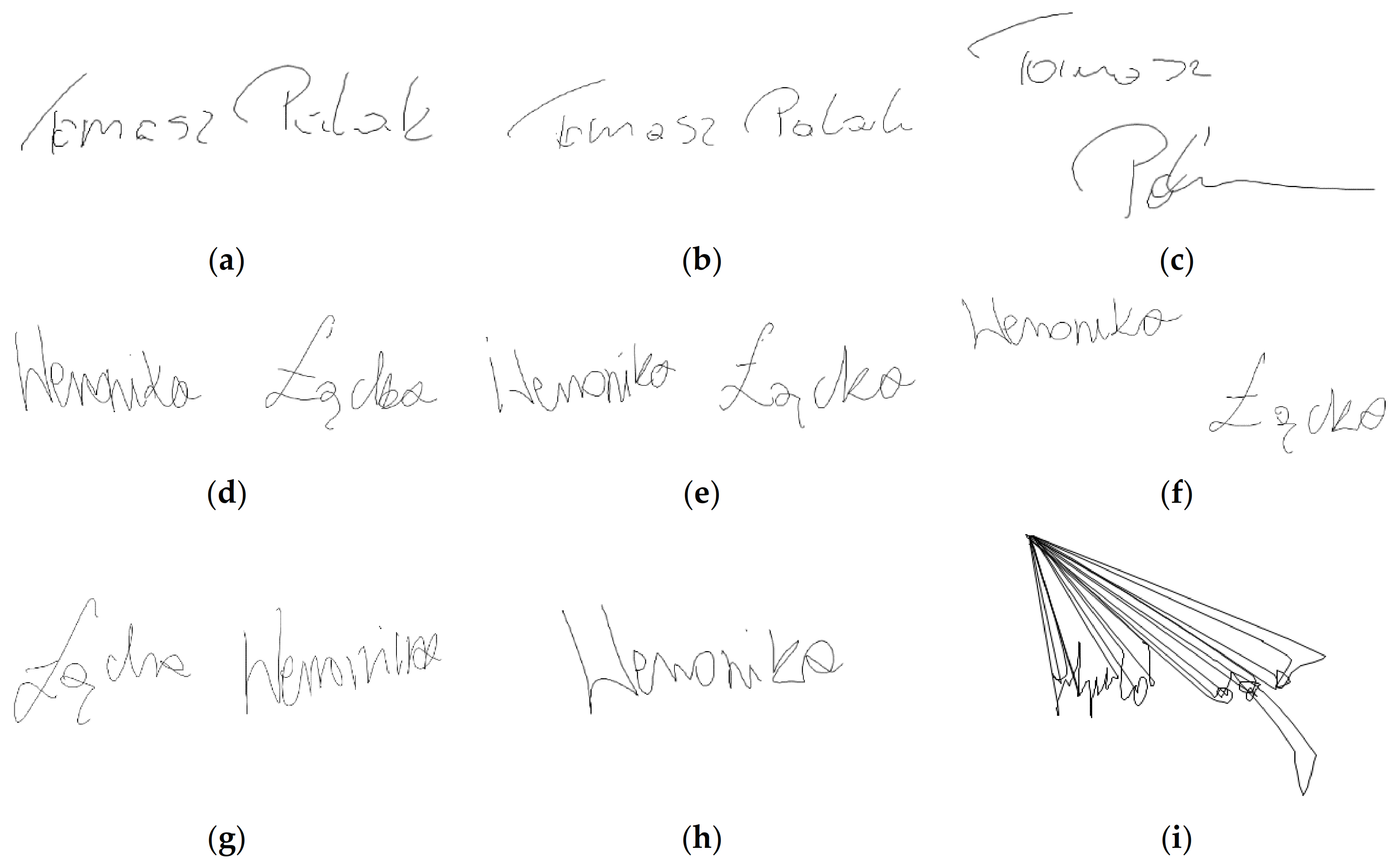 An Automated Method for Biometric Handwritten Signature Authentication ...