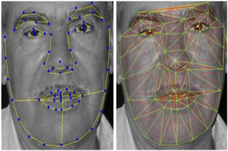 Robust Active Shape Model via Hierarchical Feature Extraction with SFS-Optimized Convolution ...