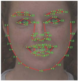Robust Active Shape Model via Hierarchical Feature Extraction with SFS-Optimized Convolution ...