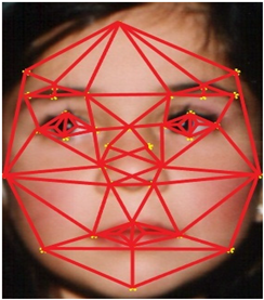 Robust Active Shape Model via Hierarchical Feature Extraction with SFS-Optimized Convolution ...