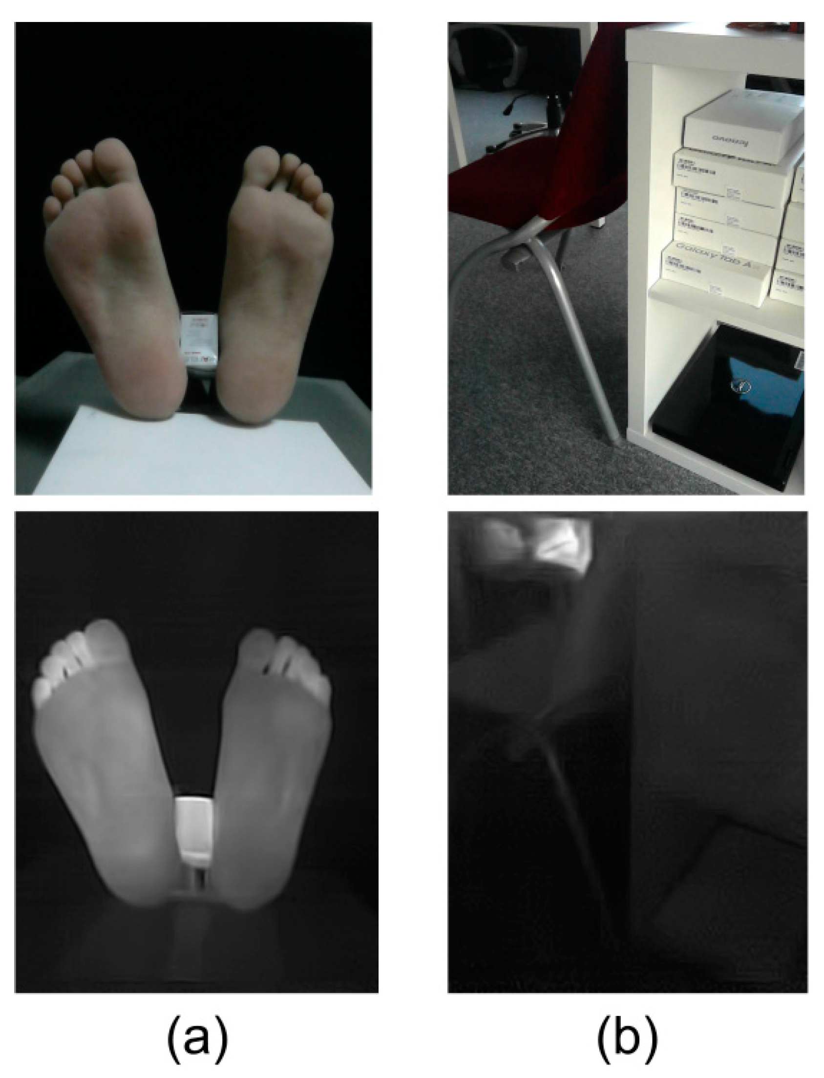 Algorithm for Automated Foot Detection in Thermal and Optical Images for Temperature Asymmetry ...