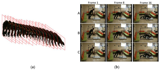 Movement Tube Detection Network Integrating 3D CNN and Object Detection Framework to Detect Fall