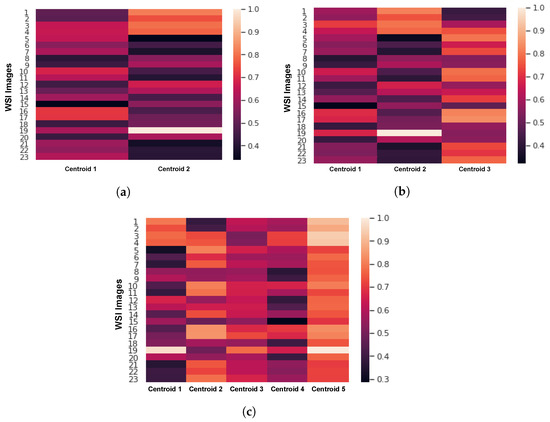 Electronics | Free Full-Text | Efficient Stain-Aware Nuclei Segmentation Deep Learning Framework ...