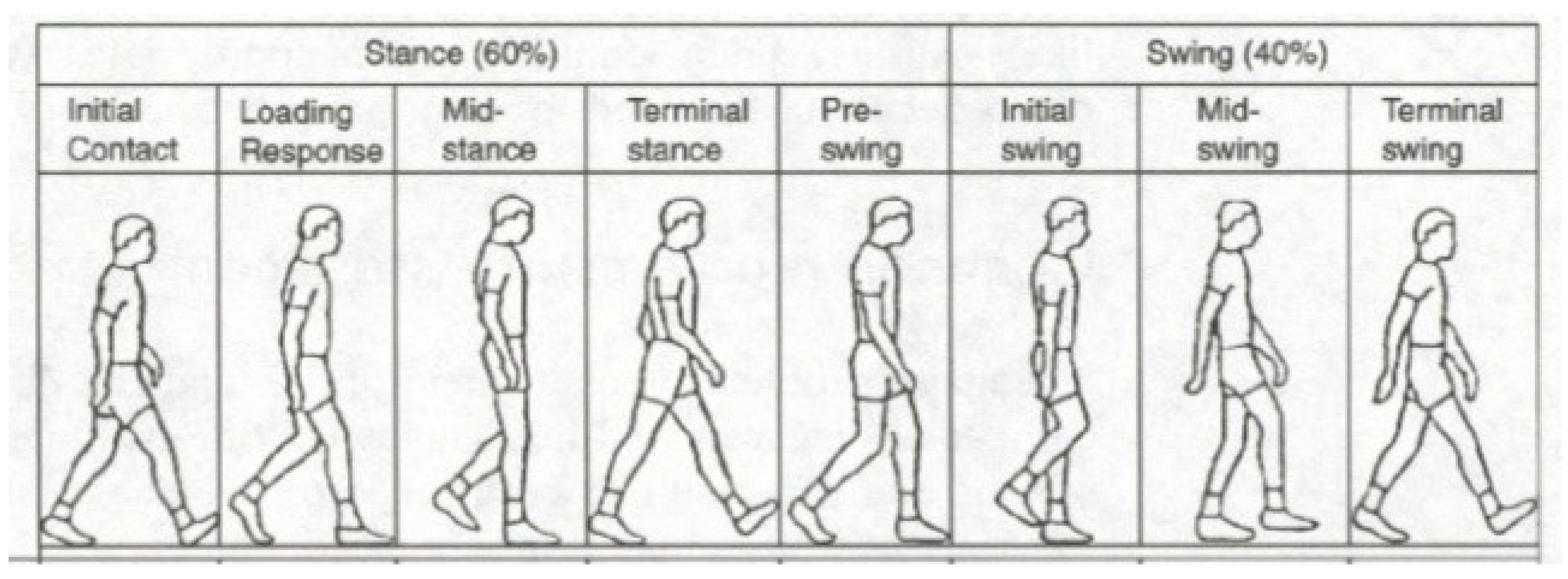 Electronics | Free Full-Text | Multimodal Low Resolution Face and Frontal Gait Recognition from ...