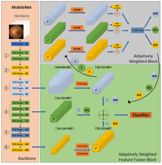 Multi-Scale Feature Fusion with Adaptive Weighting for Diabetic Retinopathy Severity Classification
