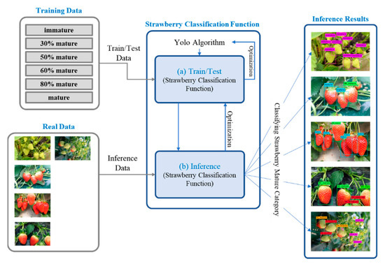 Design and Implementation of a Hydroponic Strawberry Monitoring and ...