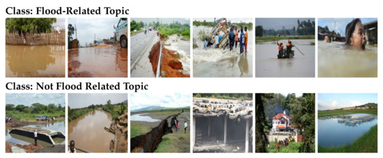 Electronics | Free Full-Text | VRBagged-Net: Ensemble Based Deep Learning Model for Disaster ...