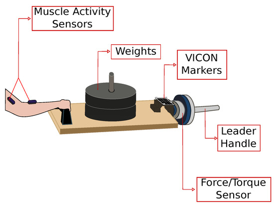Data-Driven Modelling of Human-Human Co-Manipulation Using Force and Muscle Surface ...