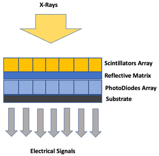 The Core of Medical Imaging: State of the Art and Perspectives on the ...