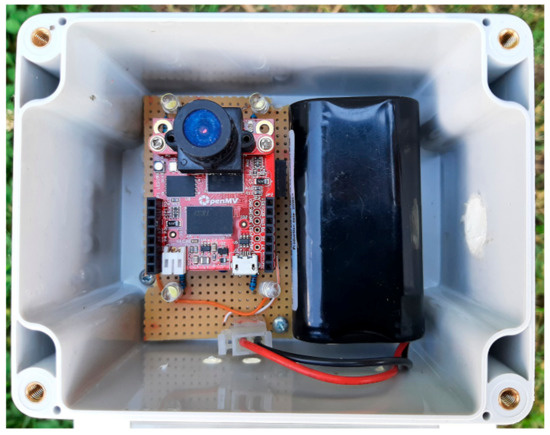 Embedded System-Based Sticky Paper Trap with Deep Learning-Based Insect-Counting Algorithm