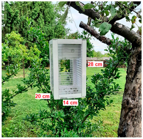 Embedded System-Based Sticky Paper Trap with Deep Learning-Based Insect-Counting Algorithm