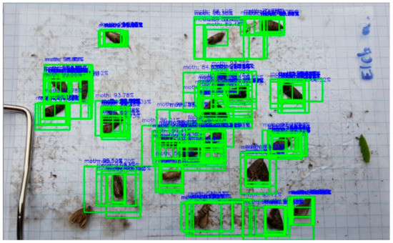 Embedded System-Based Sticky Paper Trap with Deep Learning-Based Insect-Counting Algorithm