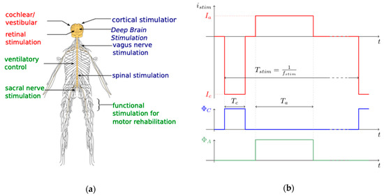 IC-Based Neuro-Stimulation Environment for Arbitrary Waveform Generation