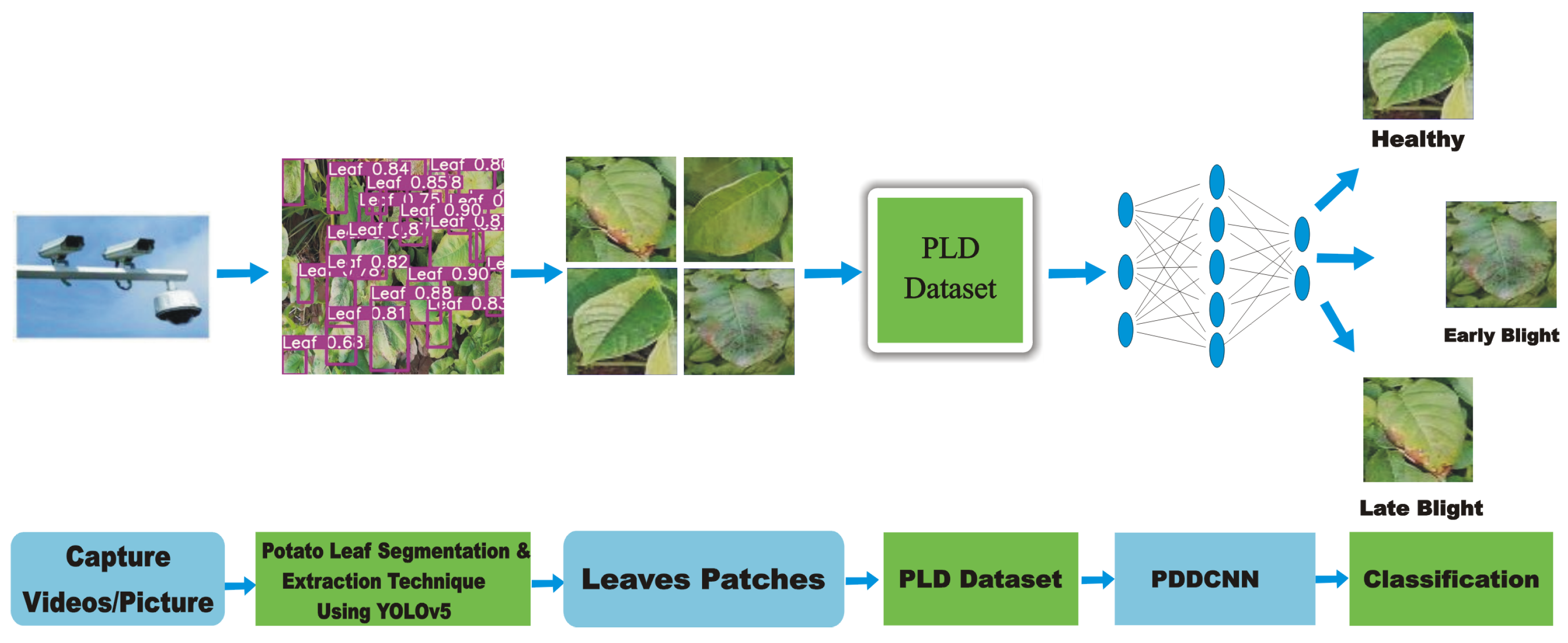 Electronics | Free Full-Text | Multi-Level Deep Learning Model for Potato Leaf Disease Recognition