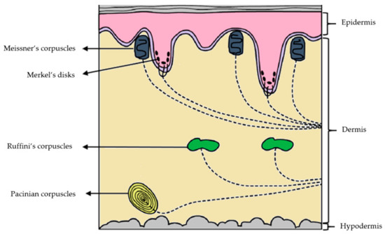 A Study of Cutaneous Perception Parameters for Designing Haptic Symbols ...