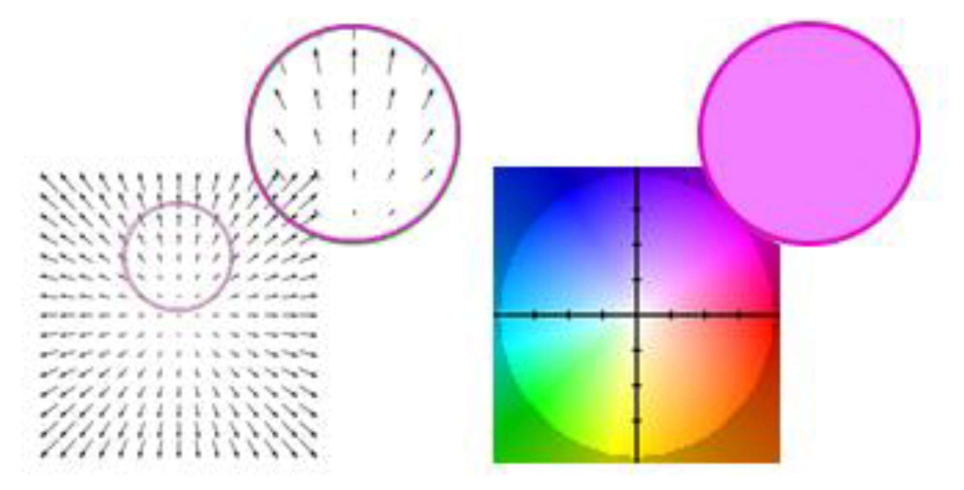 Accurate Realtime Motion Estimation Using Optical Flow on an Embedded ...