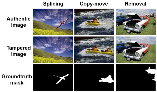 Multi-Supervised Encoder-Decoder for Image Forgery Localization