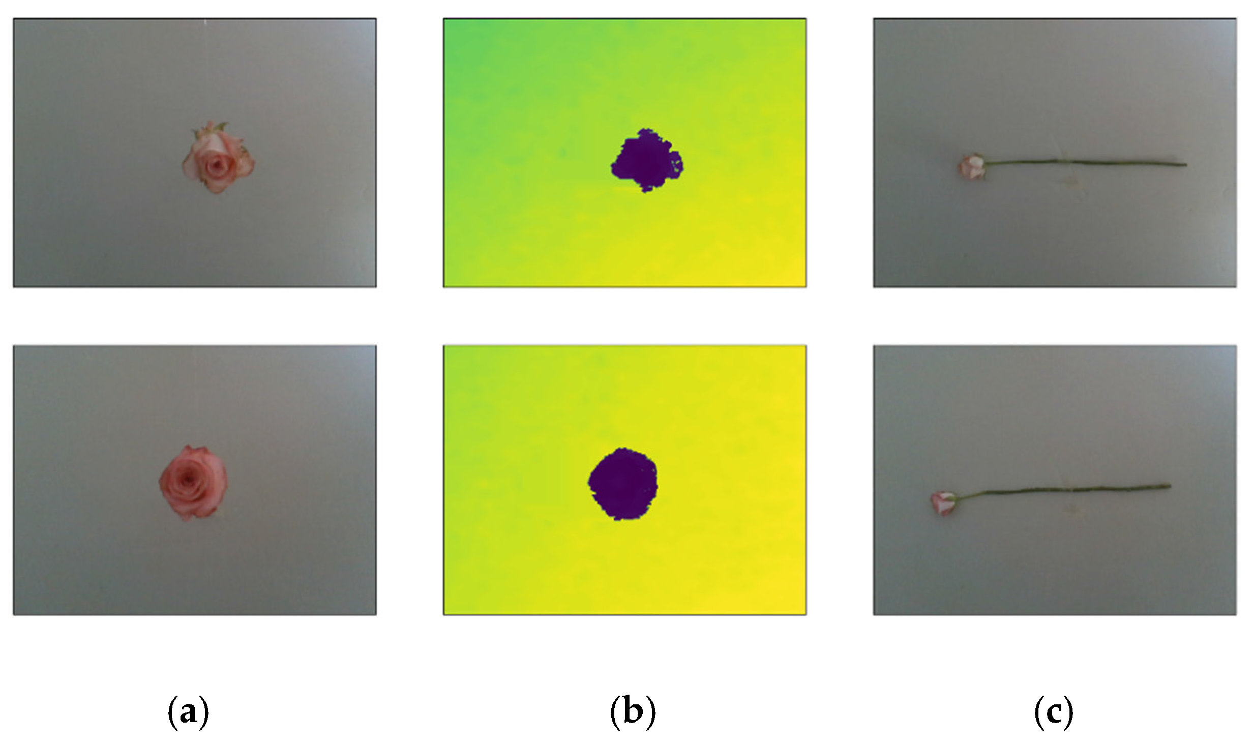 Four-Dimension Deep Learning Method for Flower Quality Grading with ...