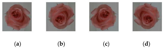 Four-Dimension Deep Learning Method for Flower Quality Grading with ...