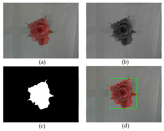 Four-Dimension Deep Learning Method for Flower Quality Grading with ...