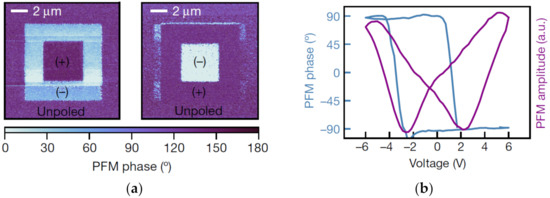 Ferroelectrics Based on HfO2 Film