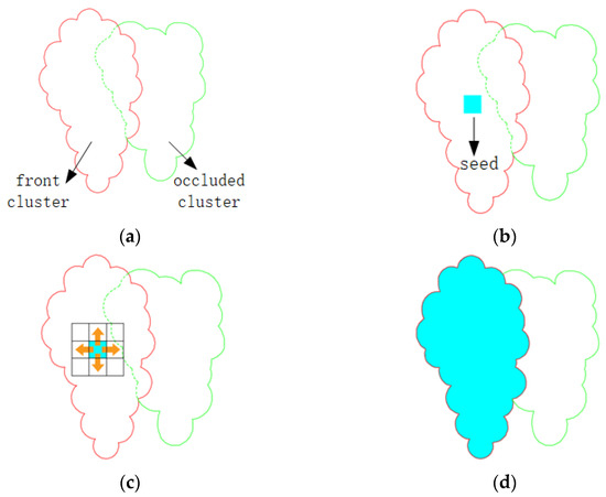 Segmentation of Overlapping Grape Clusters Based on the Depth Region Growing Method