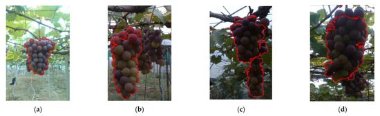 Electronics | Free Full-Text | Segmentation of Overlapping Grape Clusters Based on the Depth ...
