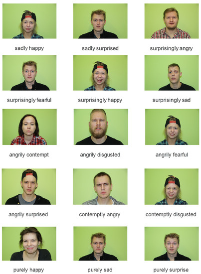 Two-Stage Recognition and beyond for Compound Facial Emotion Recognition