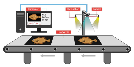 Overview of Smart Aquaculture System: Focusing on Applications of ...
