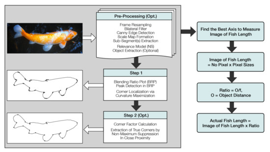 Overview of Smart Aquaculture System: Focusing on Applications of ...