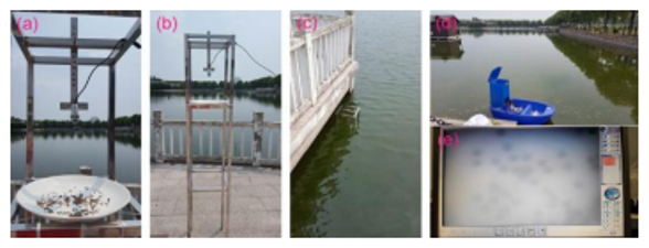 Overview of Smart Aquaculture System: Focusing on Applications of ...