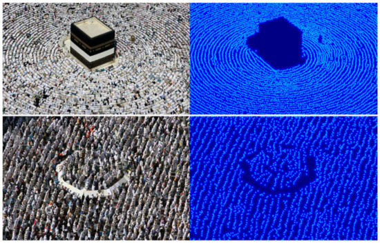 Unmanned Aerial Vehicles for Crowd Monitoring and Analysis