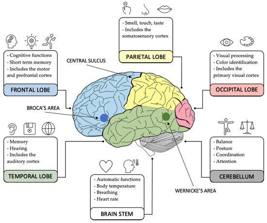 Electronics | Free Full-Text | A Survey on EEG Signal Processing ...