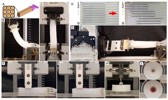 Soft Robotic Sensing, Proprioception via Cable and Microfluidic ...