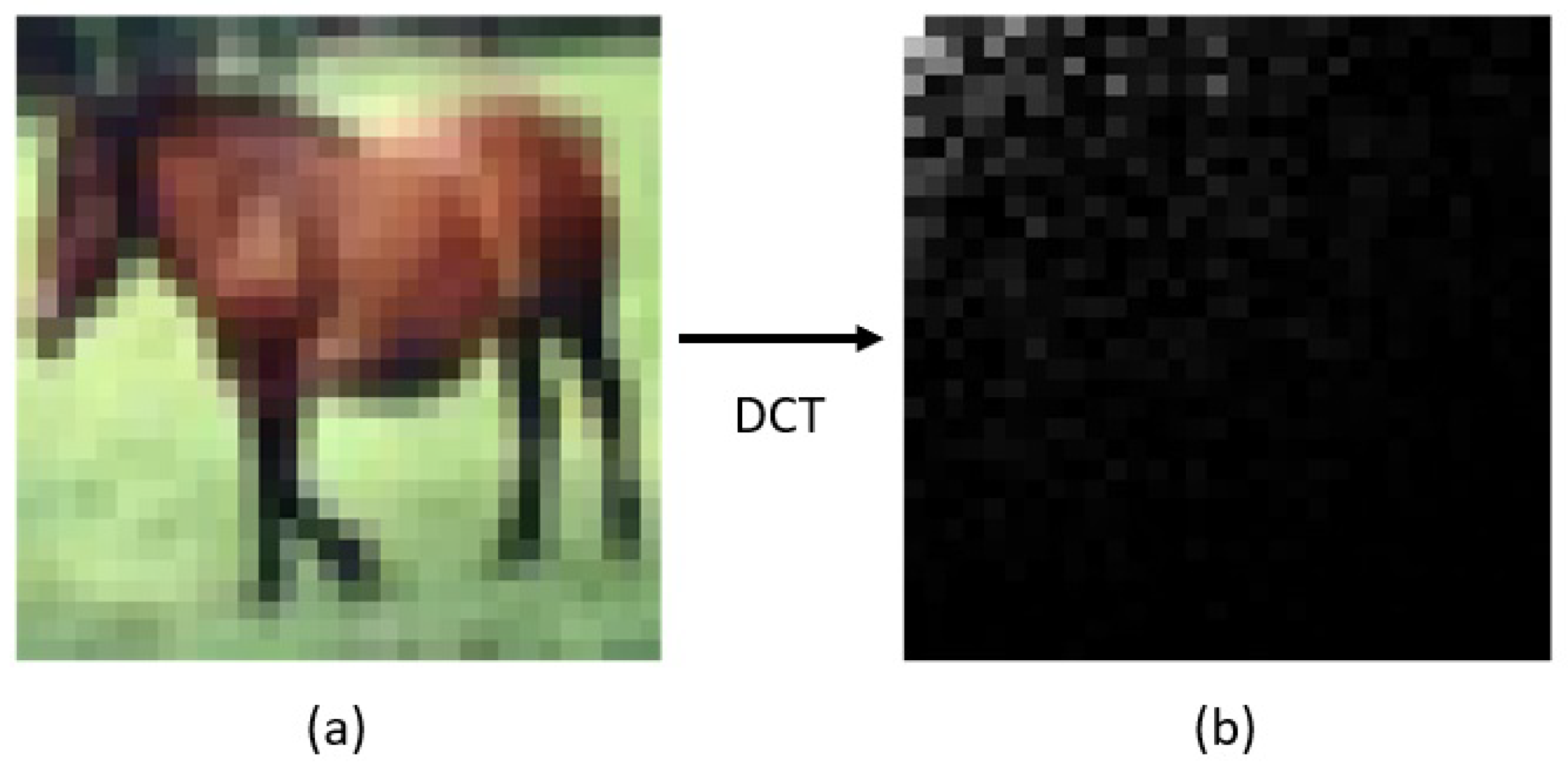 Image Perturbation-Based Deep Learning for Face Recognition Utilizing Discrete Cosine Transform
