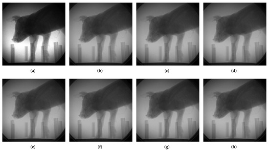 Approximate Square Root Circuits with Low Latency and Power Dissipation