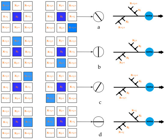 The Mechanism of Orientation Detection Based on Artificial Visual System