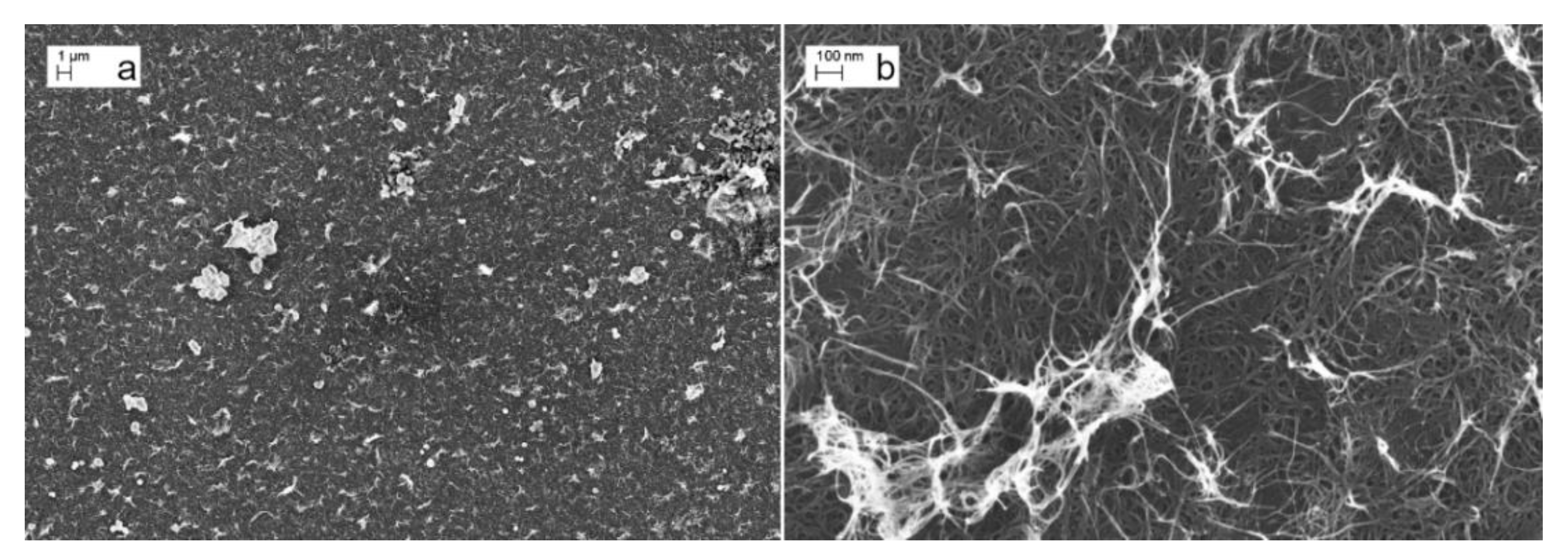 Easy Fabrication of Performant SWCNT-Si Photodetector