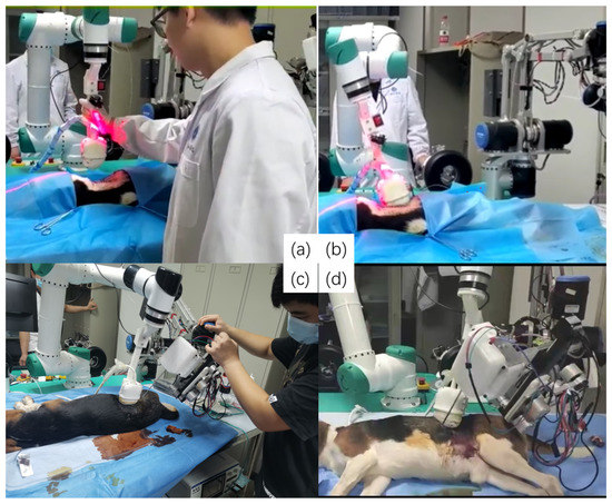 A Dual-Armed Robotic Puncture System: Design, Implementation and ...