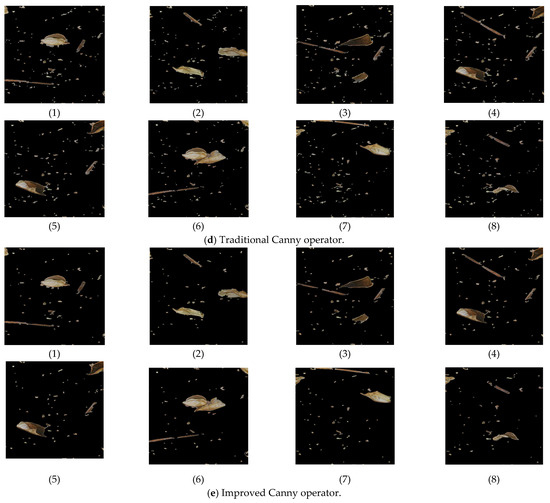 Detection of Impurity Rate of Machine-Picked Cotton Based on Improved Canny Operator