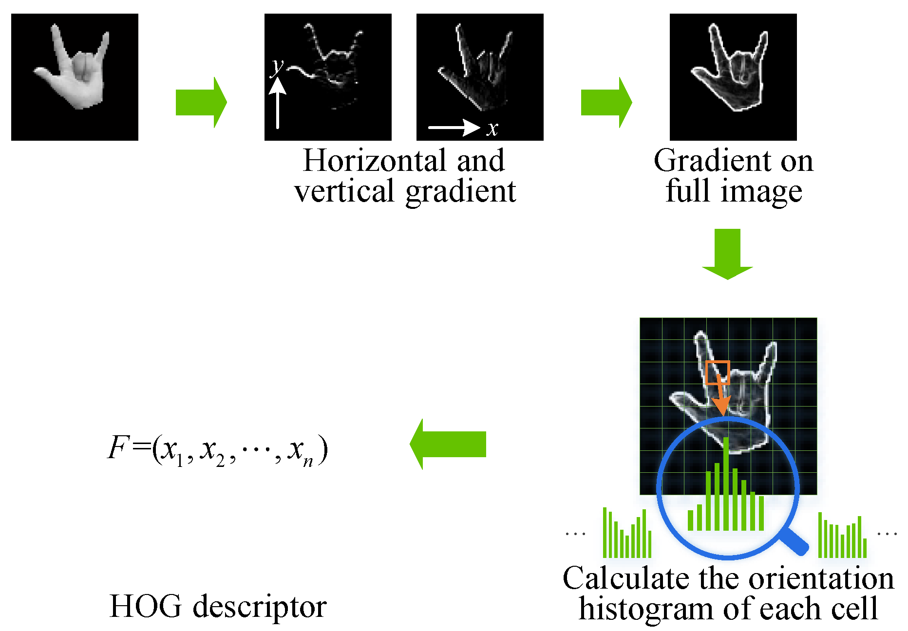 Robust Hand Gesture Recognition Using HOG-9ULBP Features and SVM Model
