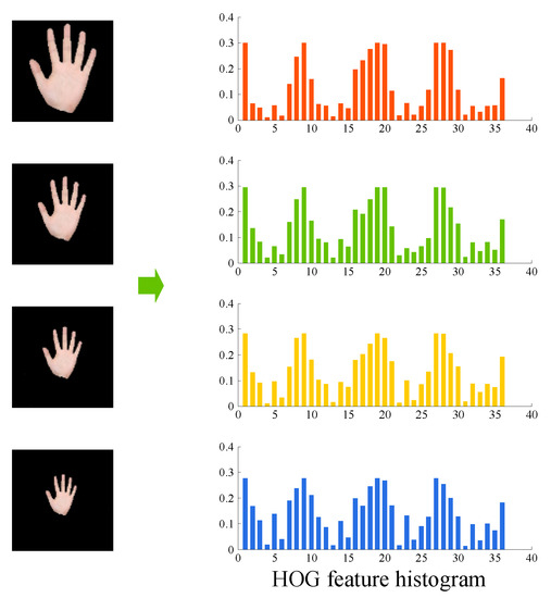 Robust Hand Gesture Recognition Using HOG-9ULBP Features and SVM Model