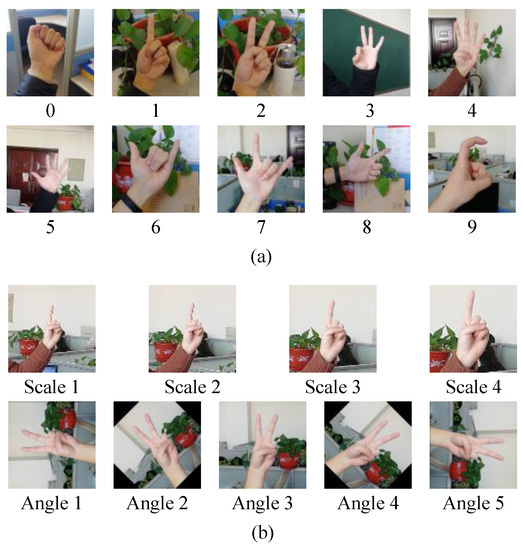 Robust Hand Gesture Recognition Using HOG-9ULBP Features and SVM Model