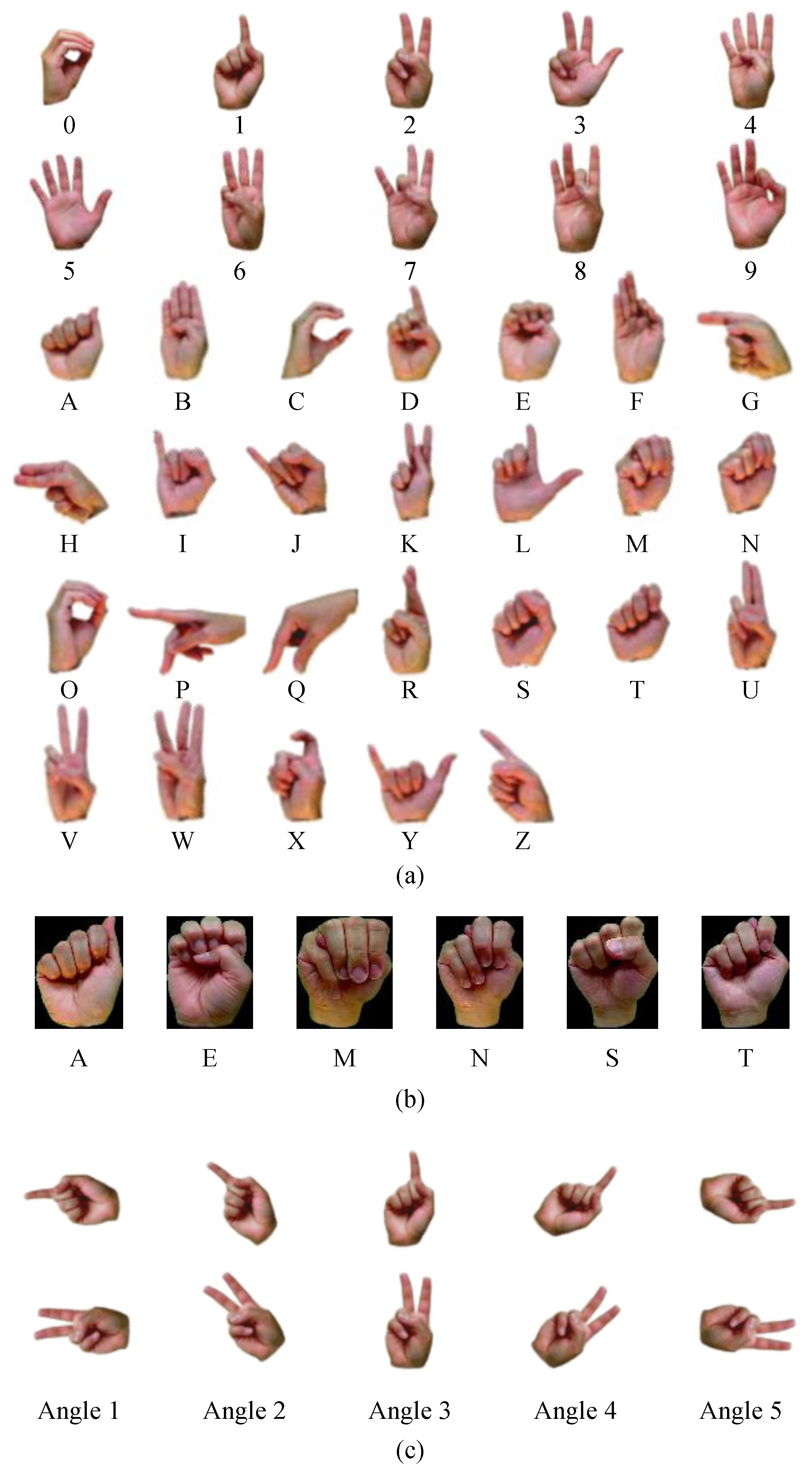 Robust Hand Gesture Recognition Using HOG-9ULBP Features and SVM Model
