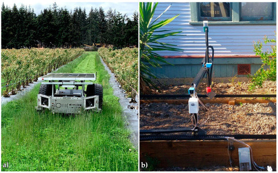 IoT as a Backbone of Intelligent Homestead Automation