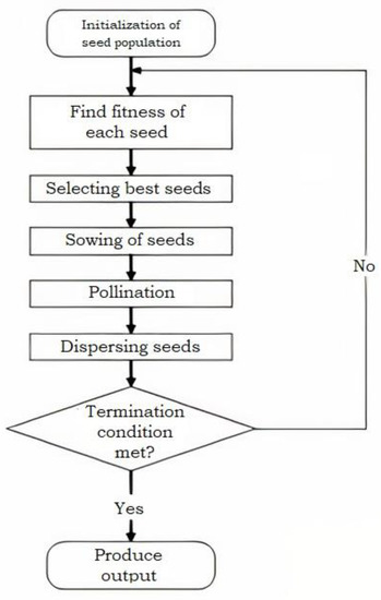 Electronics | Free Full-Text | Evolving CNN with Paddy Field Algorithm ...